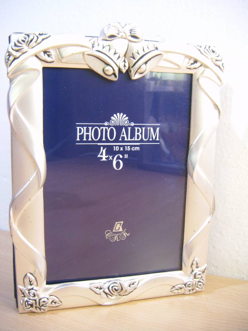ALBUM FOTOGRAFICO CON CORNICE ARGENTO